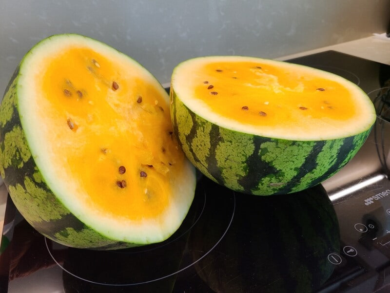 TWILIGHT F1 - Hybrid Watermelon Seeds – HORTINOVA Inc.